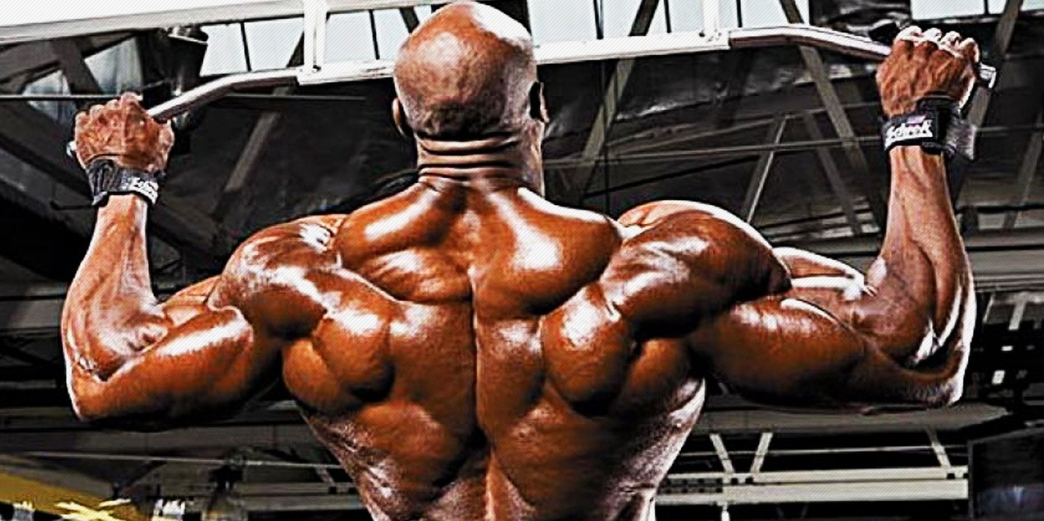 Les 5 meilleurs exercices de musculation pour le dos